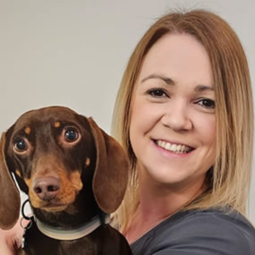 Hannah – Thameswood Vets