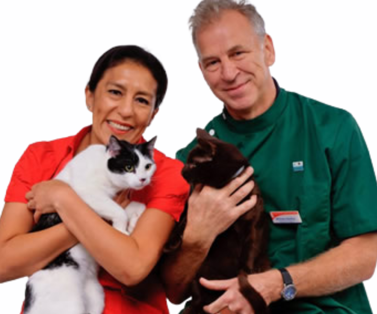 Our Story - Thameswood Vets